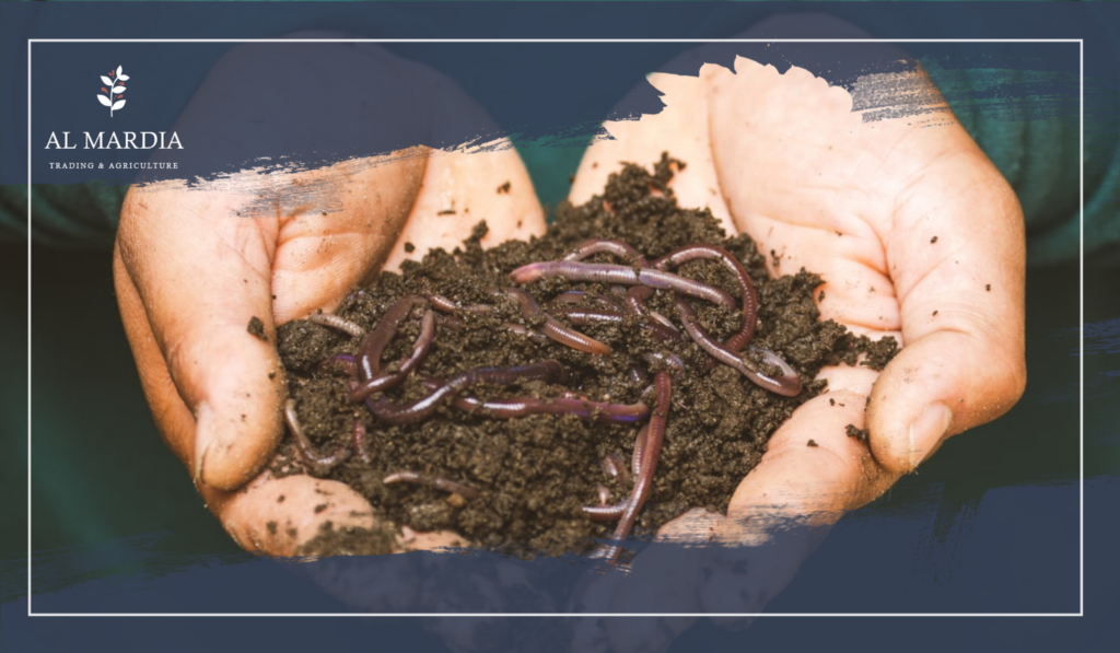 Earthworms: Tiny Creatures, Huge Benefits