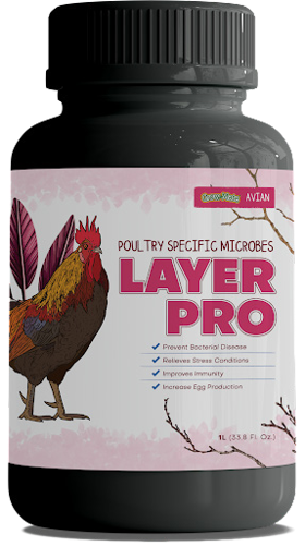 Layer Pro
