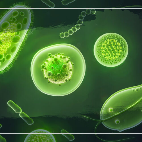 What is Sustainable Agriculture?