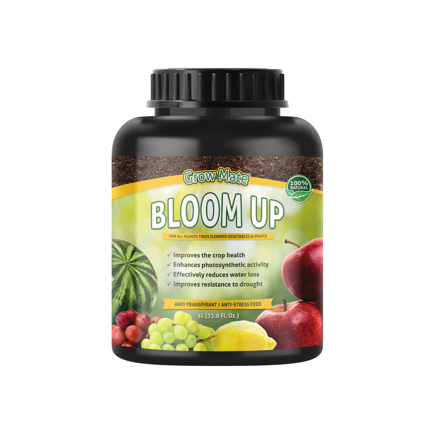 Bloom Up
